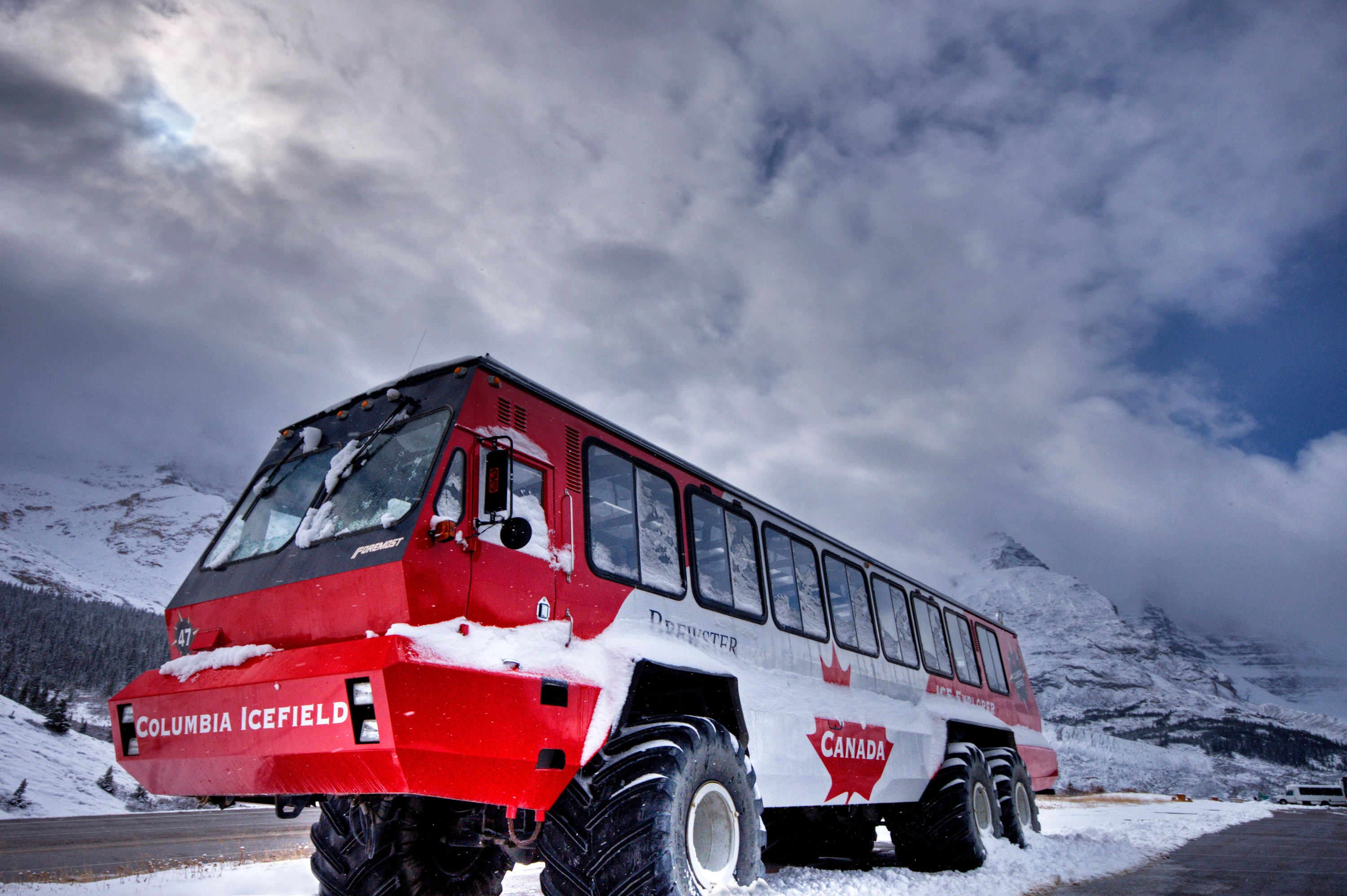 Terra Bus | Foremost